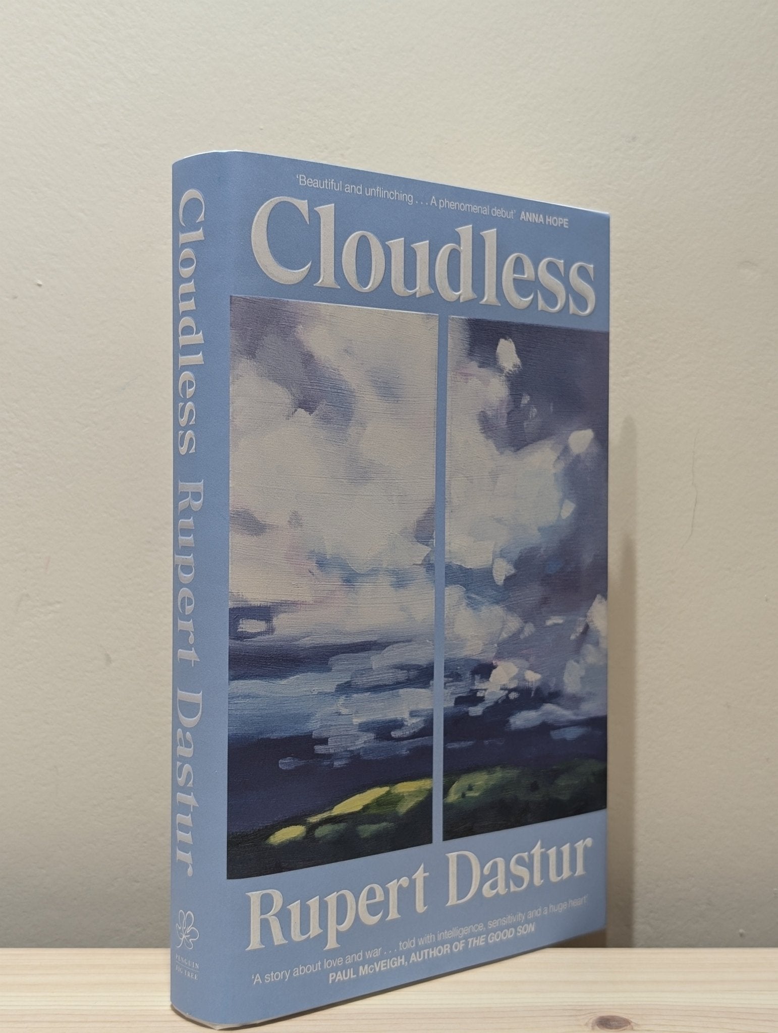 Cloudless by Rupert Dastur (Signed Dated First Edition) – Fialta Books